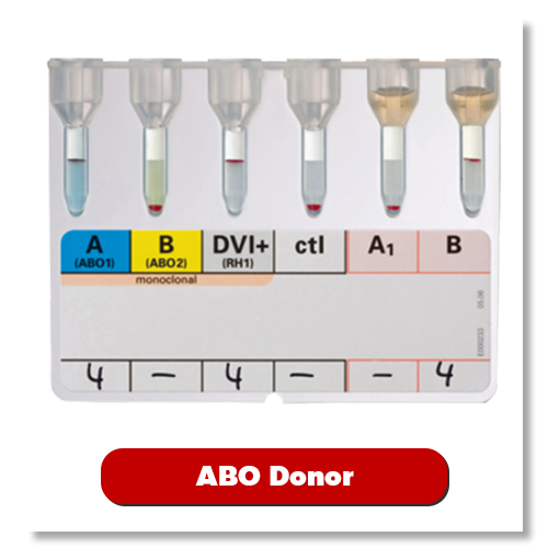 Blood Bank – Affinitech